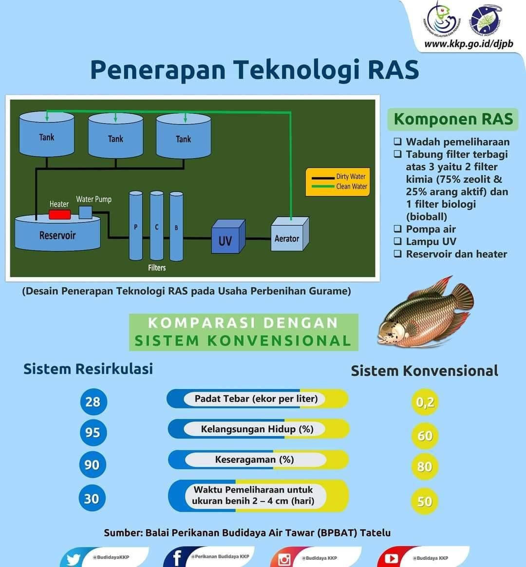 Metode Pembesaran Ikan Nila: Sistem RAS vs. Bioflok - Pusat Benih Ikan murah dan Berkualitas